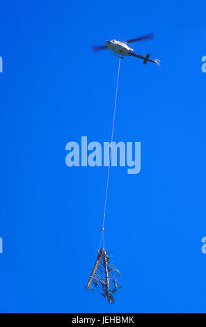 heli-logging, British Columbia, Canada / helicopter-logging Stock Photo ...