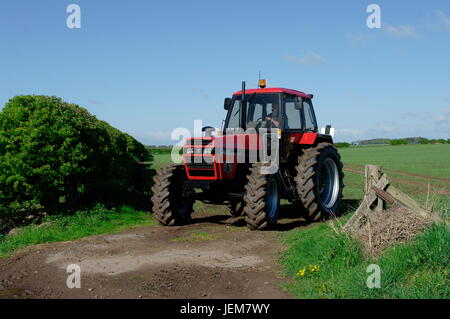 Case International 1594 Tractor Stock Photo - Alamy