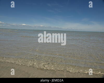 A photo of very clear water at Cape Cod Stock Photo - Alamy
