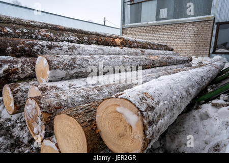 Sawmill in winter. Logs covered with snow Stock Photo - Alamy