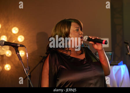 The Terri Green Project performing on 24 June 2017 Stock Photo - Alamy