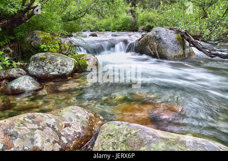 beautiful fast mountain river in autumn forest Stock Photo - Alamy