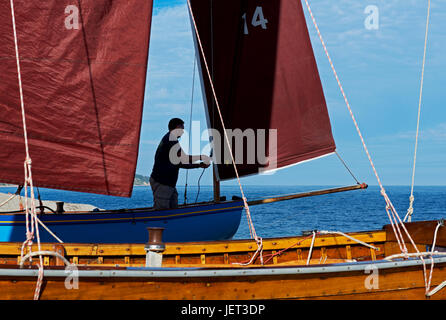 Sailing a Beer lugger boat Devon England UK Europe Stock Photo - Alamy