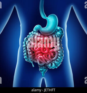 Constipated Colon, Illustration Stock Photo - Alamy