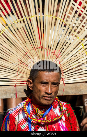 Tribes man at the Hornbill Festival, Kohima, Nagaland, India Stock ...
