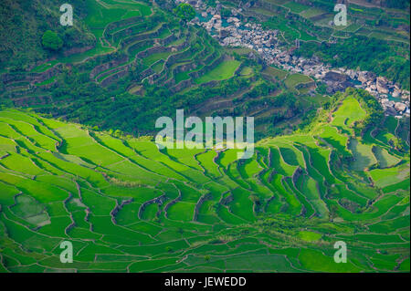 View from Kiltepan tower over the rice terraces, Sagada, Luzon ...