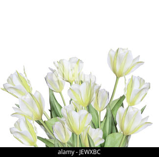 yellow tulips bouquet Stock Photo - Alamy