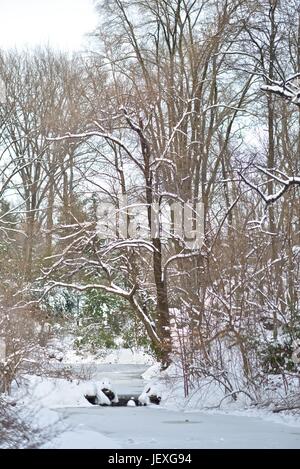 Winter Storm Juno aftermath in New York City Featuring: Atmosphere ...