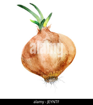 Design drawing for a menu with vegetable decoration Stock Photo - Alamy