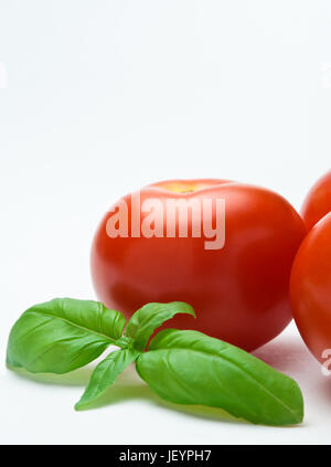 Sprig of fresh green basil leaves with dried hot spicy cayenne chili ...