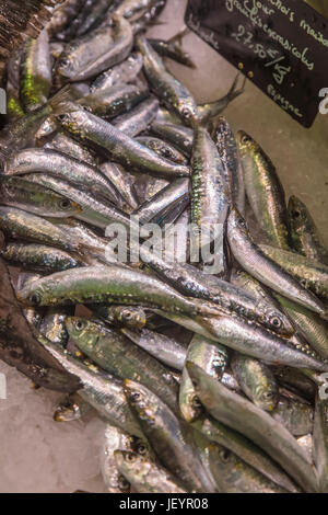 FRESH SARDINES ON MARKET STALL Stock Photo - Alamy