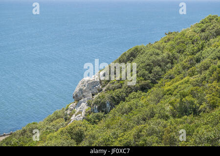 Landscape Aerial View Punta Colorada Uruguay Stock Photo - Alamy