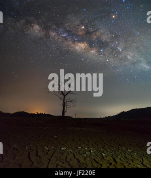 Milky Way over tree. The Milky Way rising above a silhouetted tree in ...