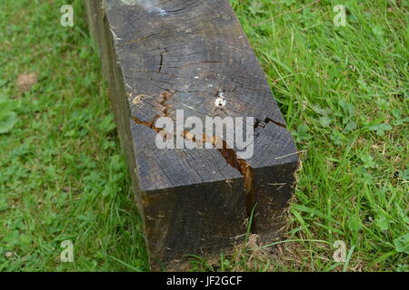 Wood rot decay in sleeper used in garden re wood treatment and ...