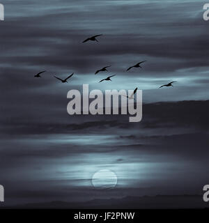 Nightscape illustration with moonlight Stock Photo - Alamy