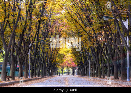 Incheon grand park during autumn Stock Photo - Alamy