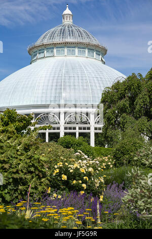 Building exterior of a conservatory with plants and flowers bloom in ...