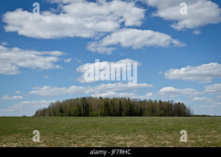 Beautiful spring landscape in Latvia, East Europe Stock Photo - Alamy