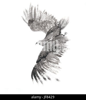 The flying falcon. An ink hand drawing Stock Photo - Alamy