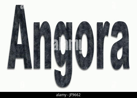 Angora Wool in a font trained Stock Photo - Alamy