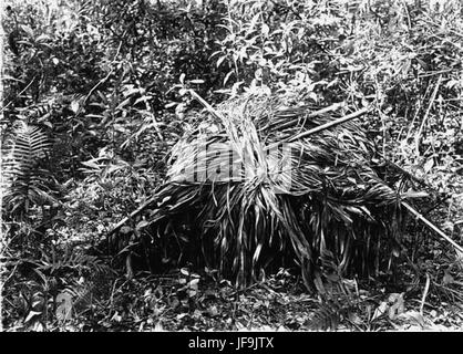 An ancient burial or cache site on Long Key, Florida, significant for ...