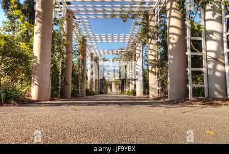 Rose garden trellis path with rose vines and a stone walkway Stock ...