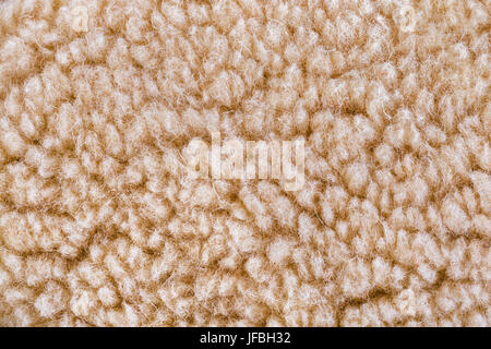 Woolly sheep fleece texture - furry background pattern Stock Photo - Alamy