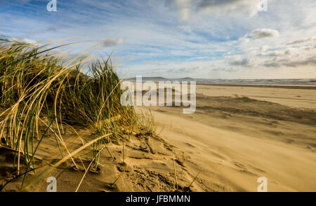 High winds blow sand along Pembrey Country Park beach (Cefn Sidan ...