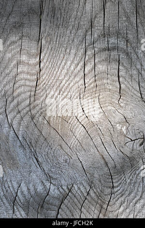 interesting texture of a wooden surface, natural wood as an elegant ...