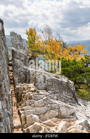 Seneca Rocks, West Virginia Stock Photo - Alamy