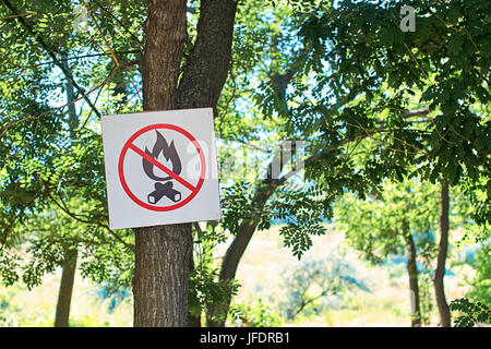 No smoking in the forest, fire danger warning sign on a tree, Hesse ...