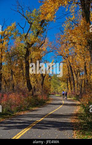 Paved cycle lane with yellow path - far destination Stock Photo - Alamy