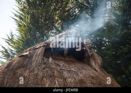 Chile, Araucania, Llaguepulli, Mapuche, Ruka, round house, woman ...
