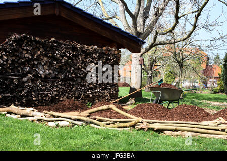 bark mulch tree pit under a walnut tree Stock Photo - Alamy