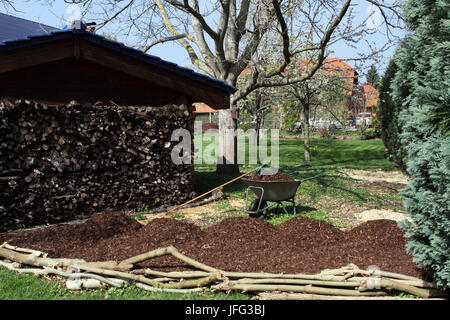 bark mulch tree pit under a walnut tree Stock Photo - Alamy