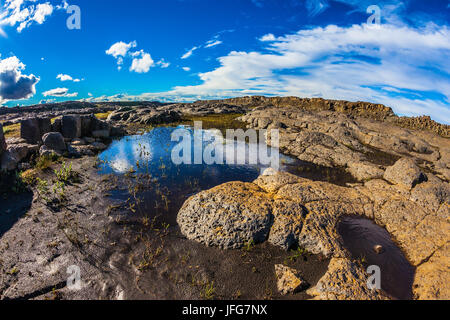 Small picturesque puddle Stock Photo - Alamy