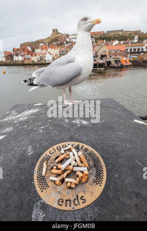 Cigarette butts, pollution Stock Photo - Alamy
