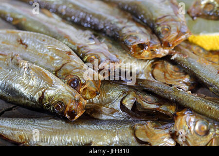 Kieler Sprotten or Kiel Sprats, smoked sprat, Eckernfoerde, Schleswig ...