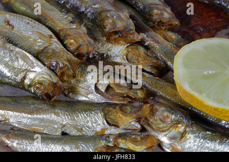 Kieler Sprotten or Kiel Sprats, smoked sprat, Eckernfoerde, Schleswig ...