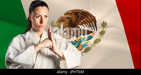 Composite image of female fighter performing karate stance Stock Photo ...