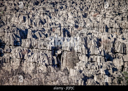 Tsingy close up Stock Photo - Alamy