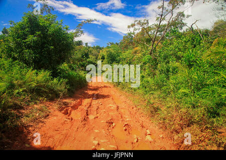 Impassable forest road of mud and clay, offroad Stock Photo - Alamy