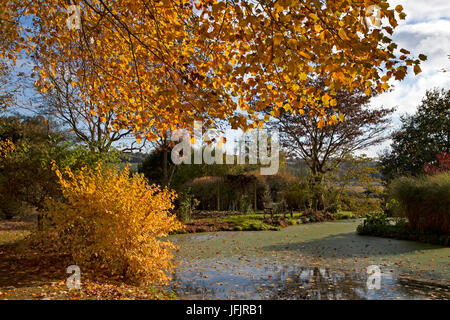Autumn colours at Daws Hall Nature Reserve. A centre for environmental ...