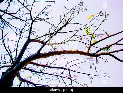 Tree trunk on an empty tropical beach at sunset Stock Photo - Alamy