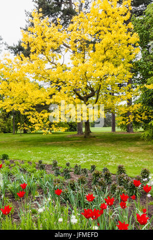 England, London, Richmond, Kew Gardens, Princess of Wales Conservatory ...