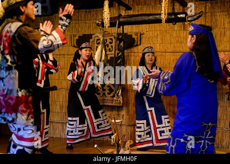 Ainu traditional dance in Ainu village museum,Shiraoi Poroto Kotan ...