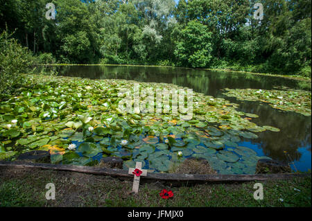 WW1 mine crater Pool of Peace / Lone Tree Crater / Spanbroekmolenkrater ...