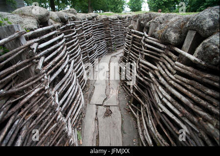 Restored German WW1 trenches at Bayernwald, nr Heuvelland (Kemmel ...
