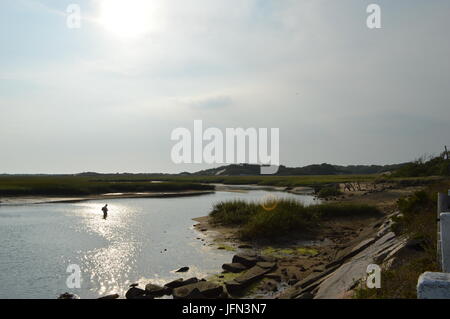 Cape Cod Shots Stock Photo - Alamy
