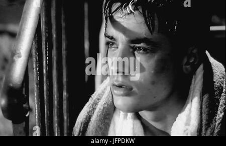 Alain Delon / Rocco Et Ses Freres / Rocco E I Suoi Fratelli 1961 ...